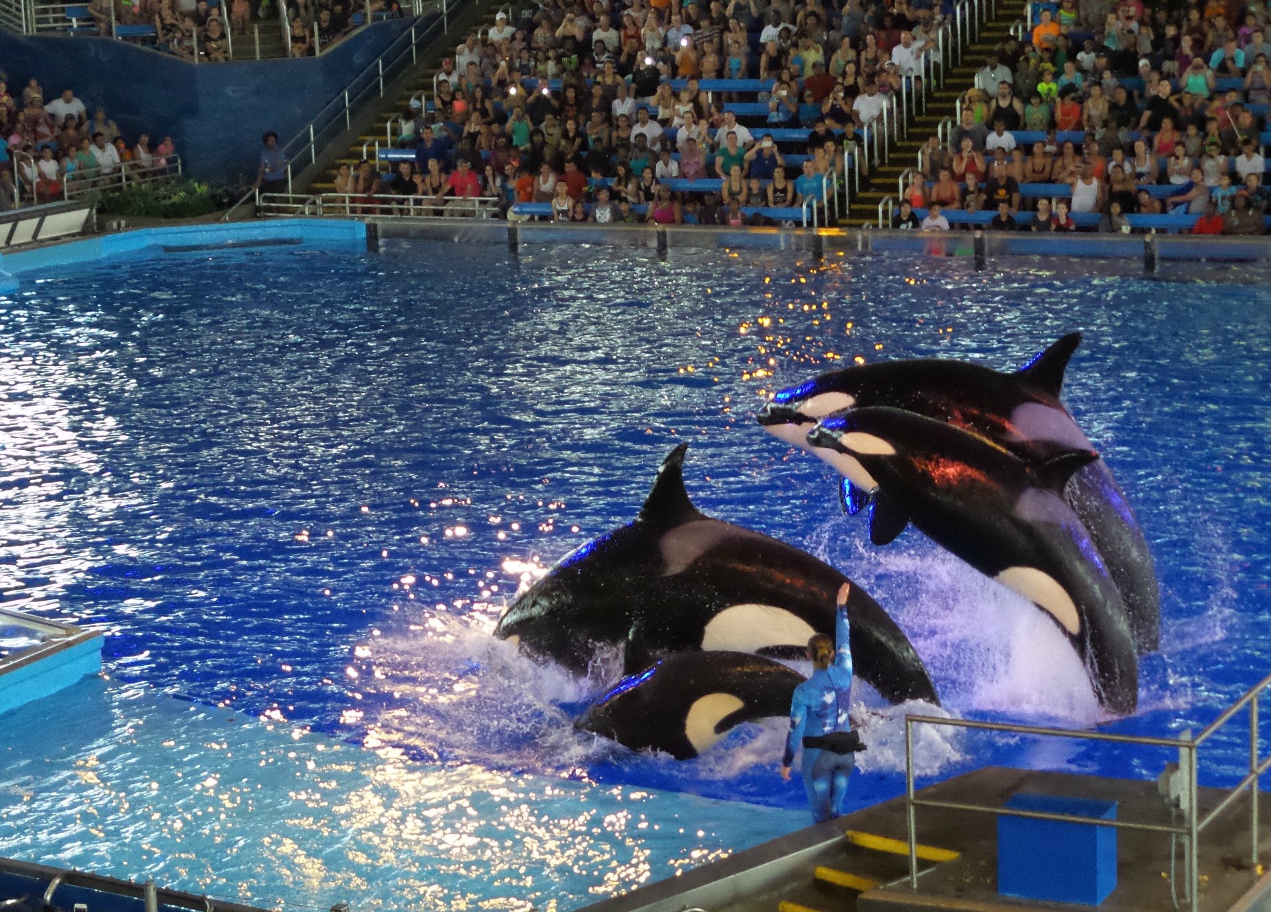 Family Trip To SeaWorld San Antonio - Family Fun Journal