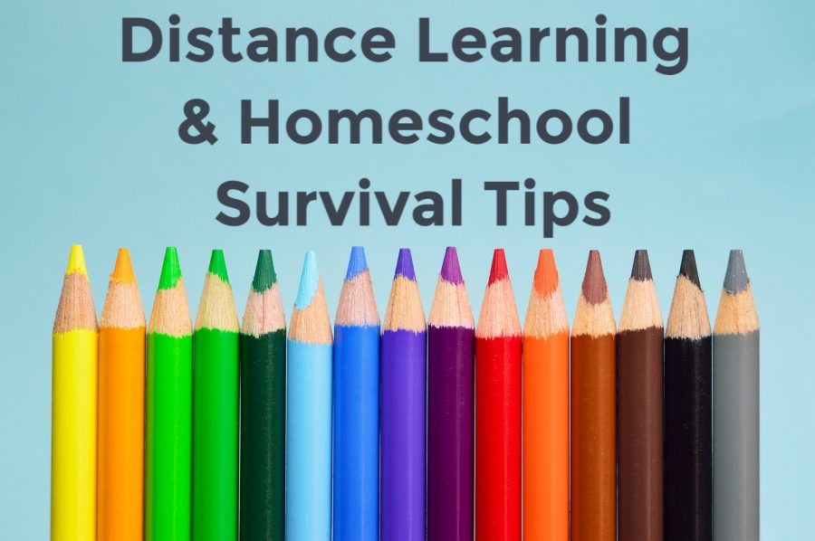 Homeschool & Distance Learning Survival Tips - Family Fun Journal